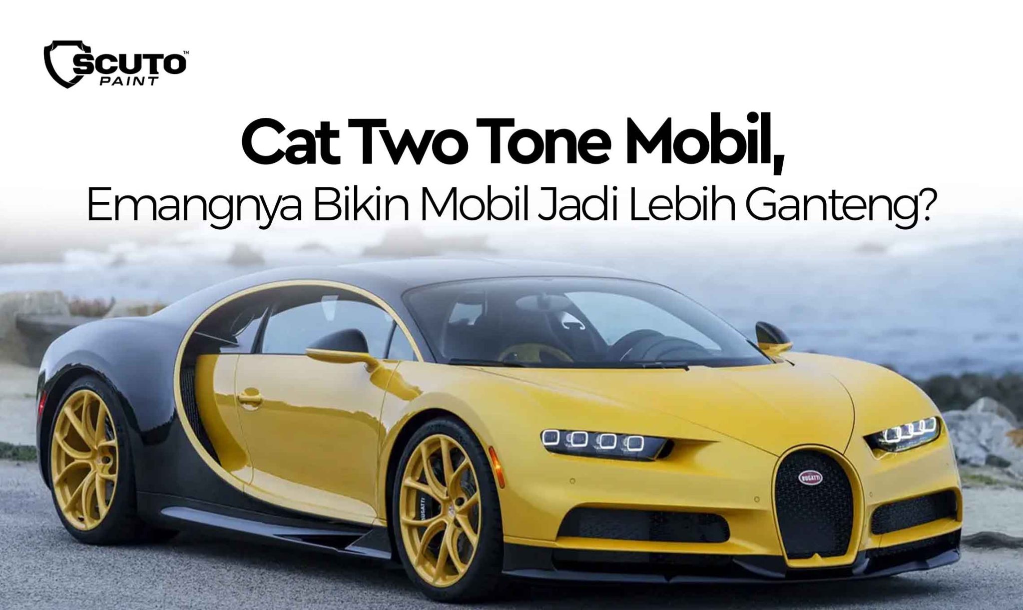Scuto Paint - Bengkel Cat Mobil Dan Body Repair